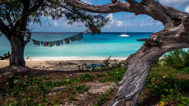 One Day in Miami – Top Things to Do in the Sunshine City