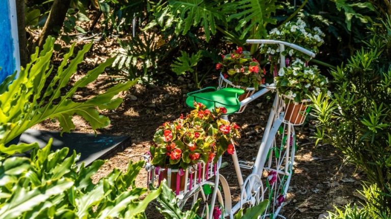 33 Cool and Interesting Facts About Tampa • 33 Travel Tips