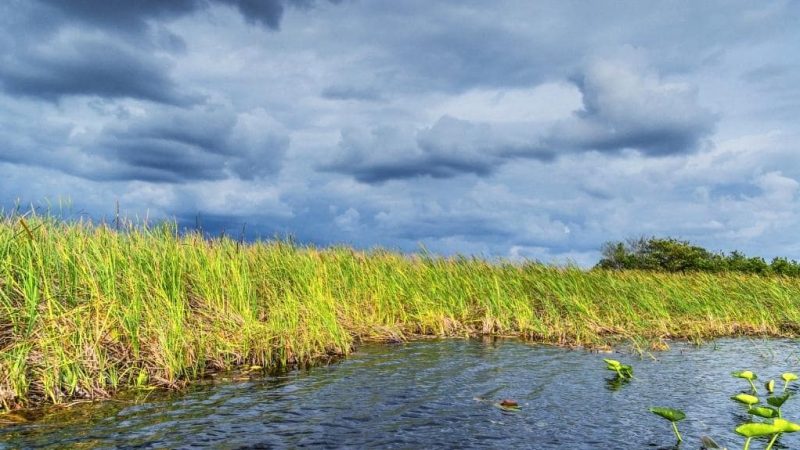 Everglades Day Trip from Miami – All You Need to Know