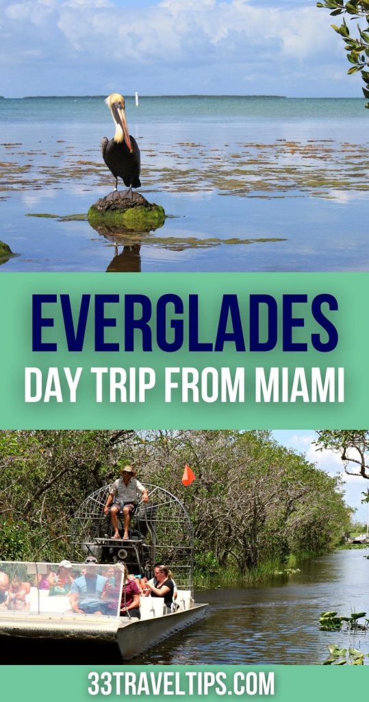 Everglades Day Trip from Miami – All You Need to Know
