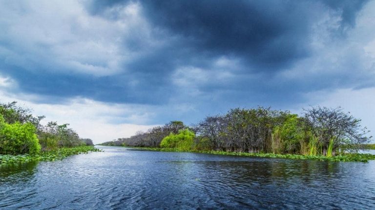 Everglades Day Trip from Miami – All You Need to Know