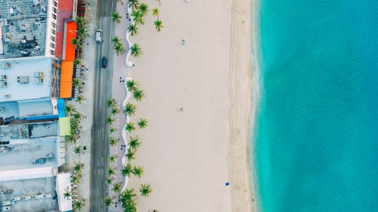 44 Fun and Interesting Facts About Miami You’ll Love